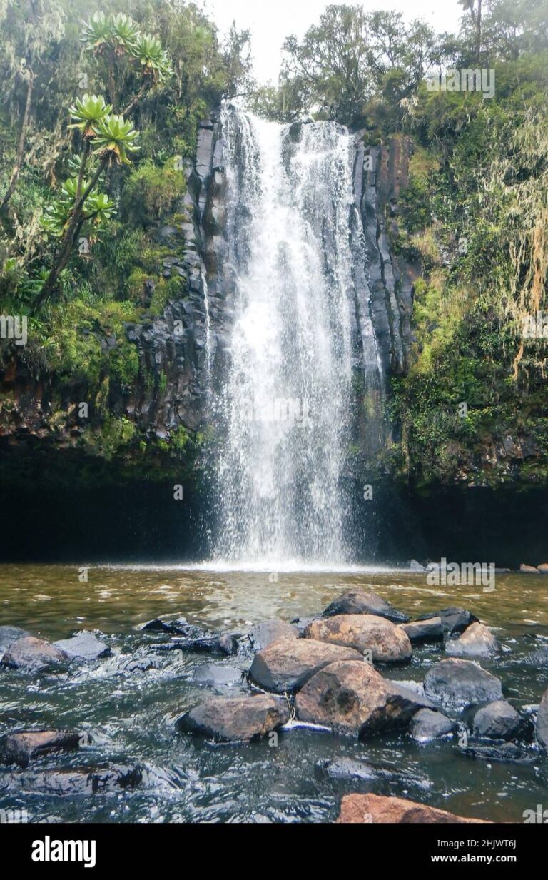 Discover Magura District: History, Culture, and Natural Beauty of ...